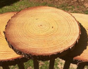 Types of Live Edge Lumber - 612 Milling